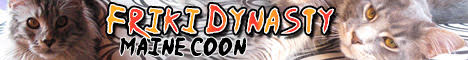 Friki Dynasty - Maine Coon
